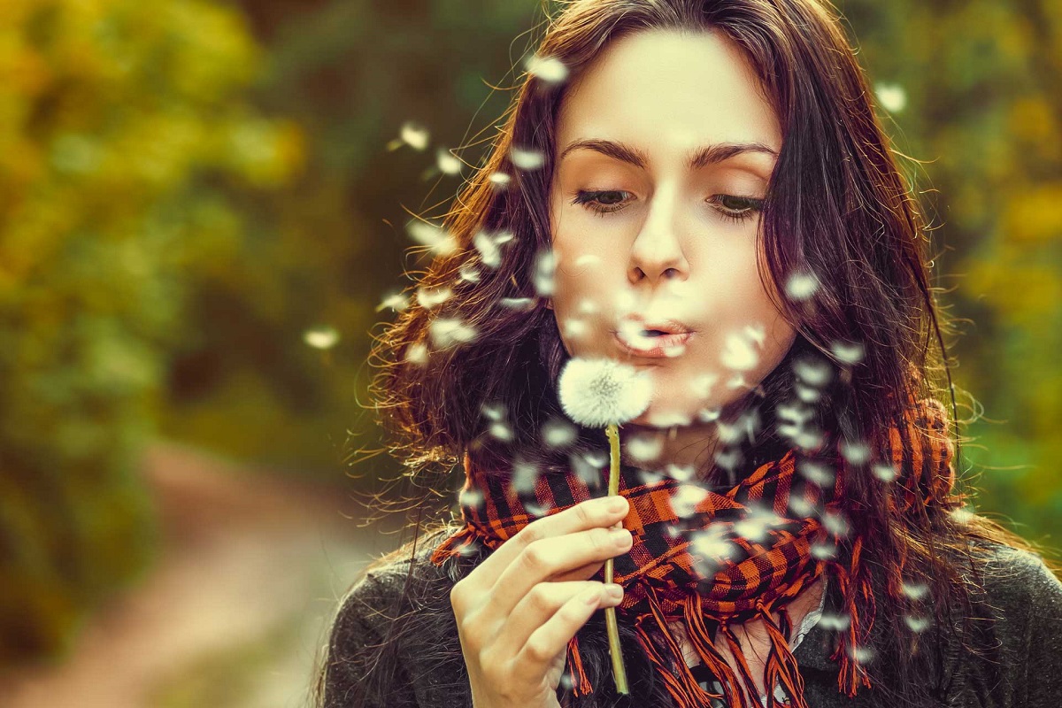 The Secret Life of Dandelions - Amerikanki