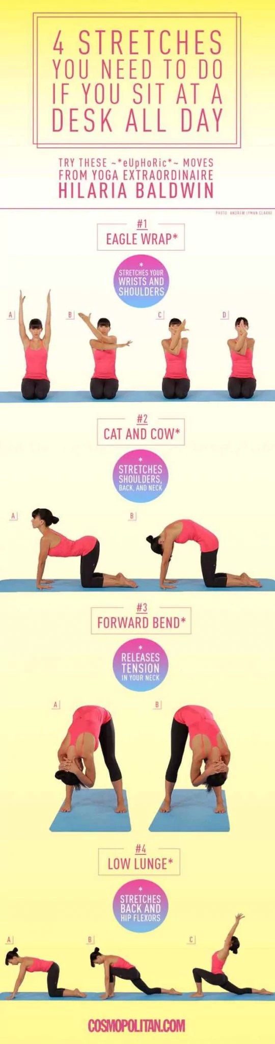 22 Stretching Exercises Infographics for Better Flexibility - Amerikanki
