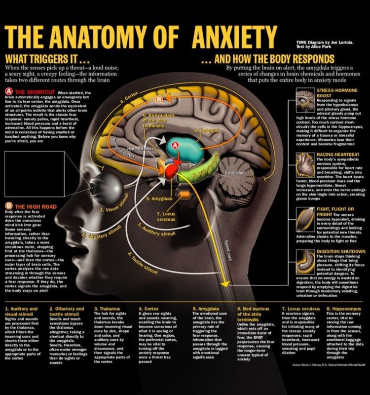 21 Infographics about Anxiety and How to Get Rid of this Feeling ...